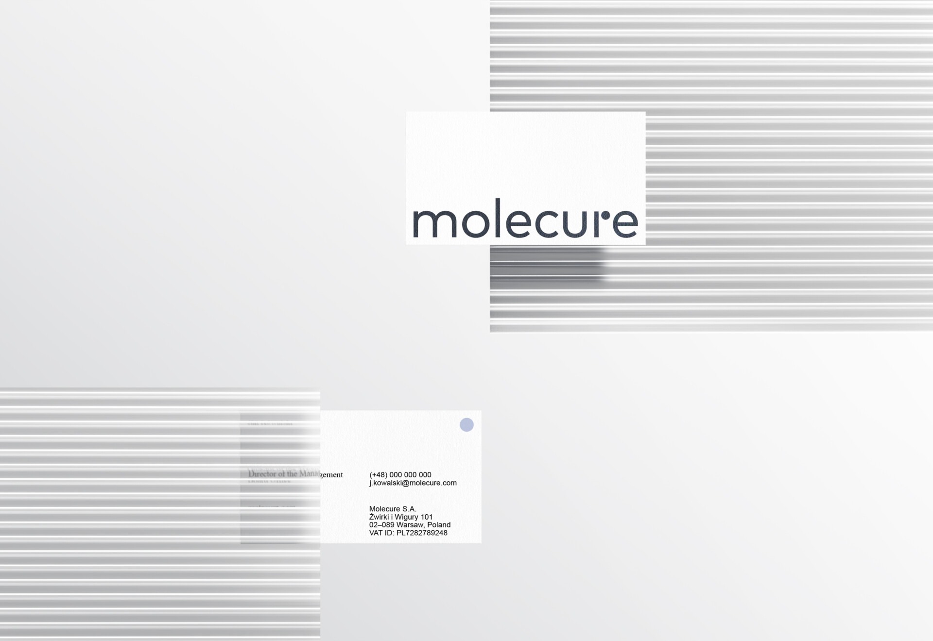 Molecure – communicating through empathy and science - Branding studio ...